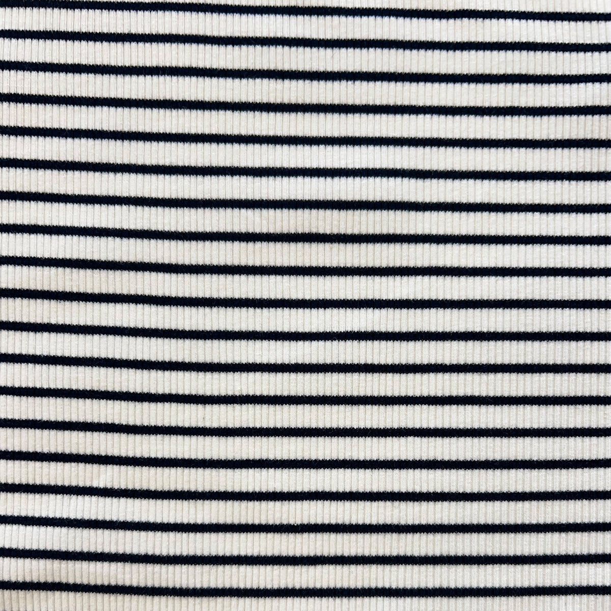 Cotton Spandex Striped Rib - White & Navy – Fabric Box
