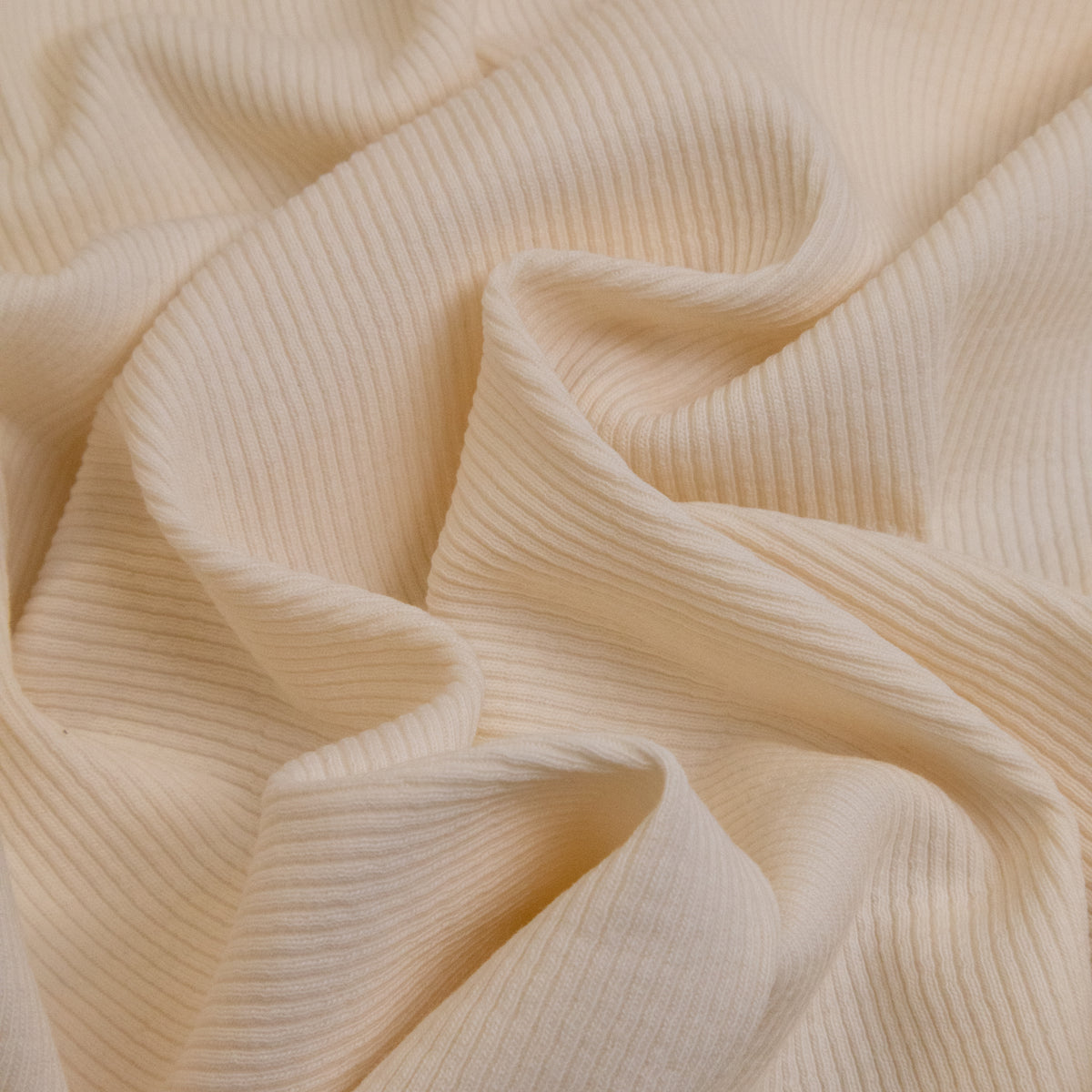250gsm Cotton Spandex Rib Knit - Vanilla – Fabric Box